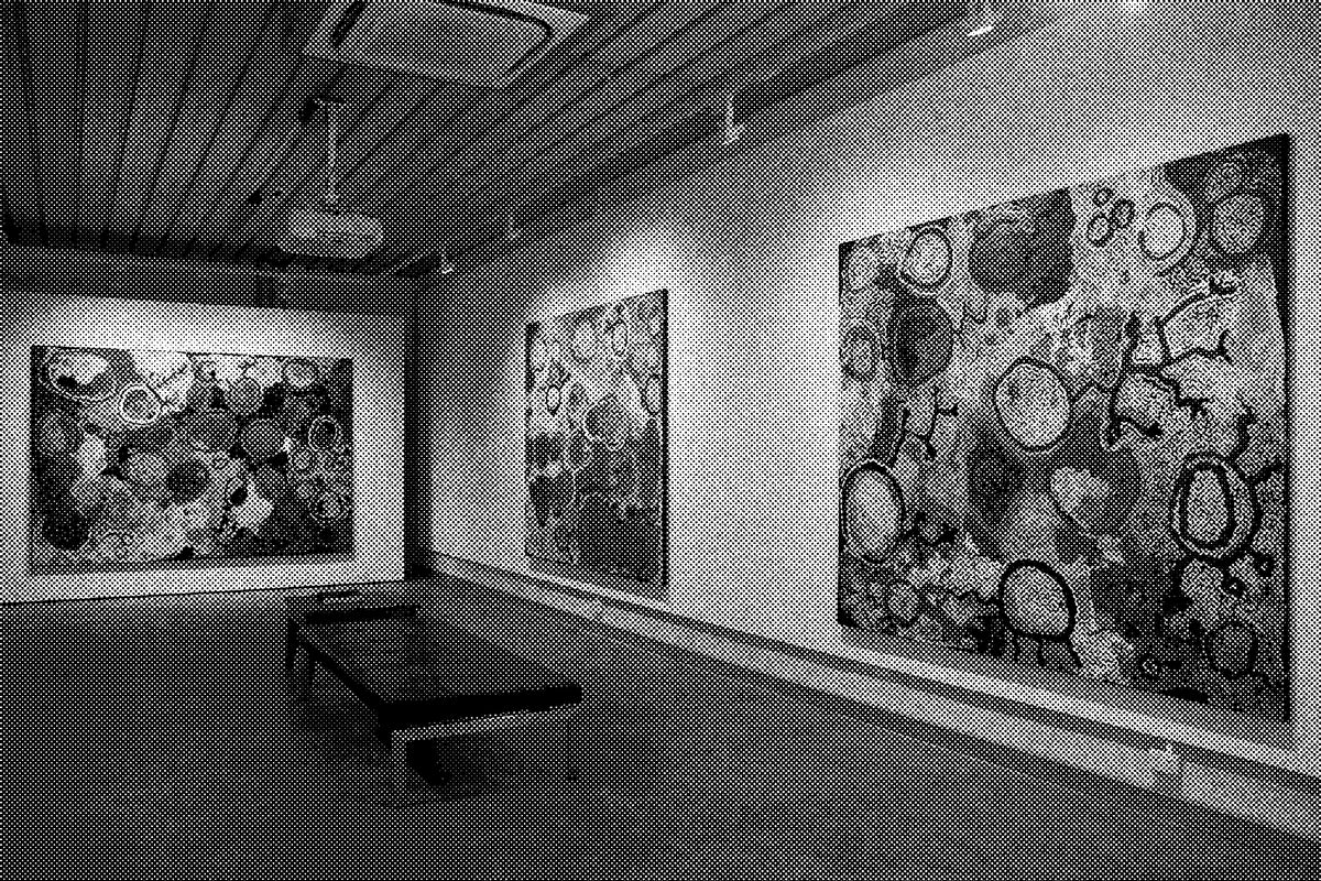 Galleries – Chapman & Bailey