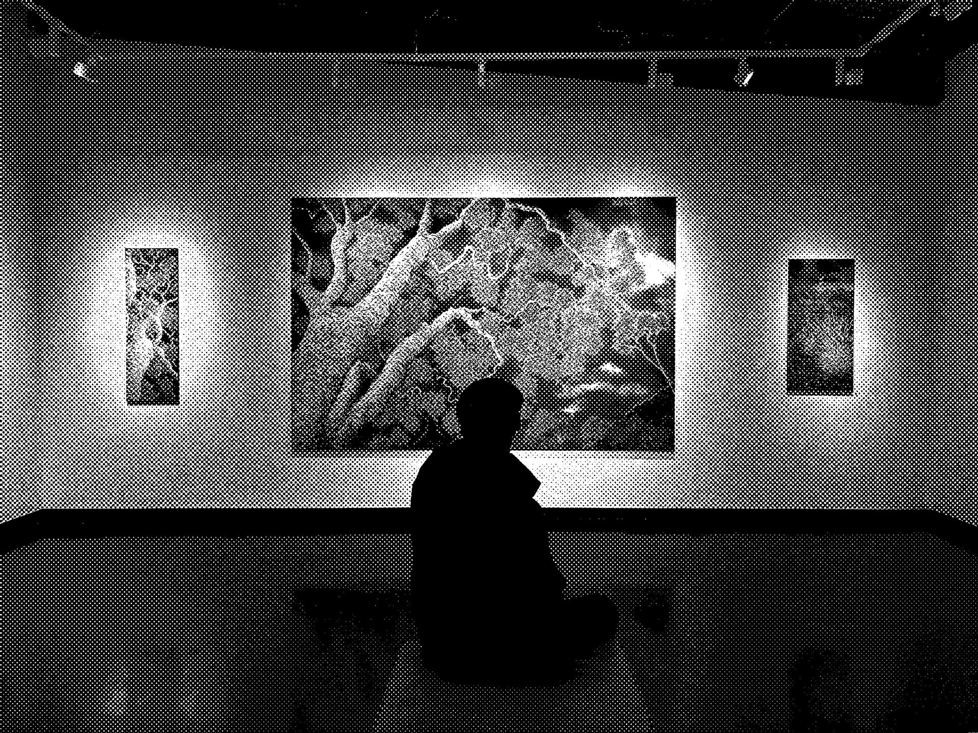 Chapman & Bailey | Fine Art Materials & Services